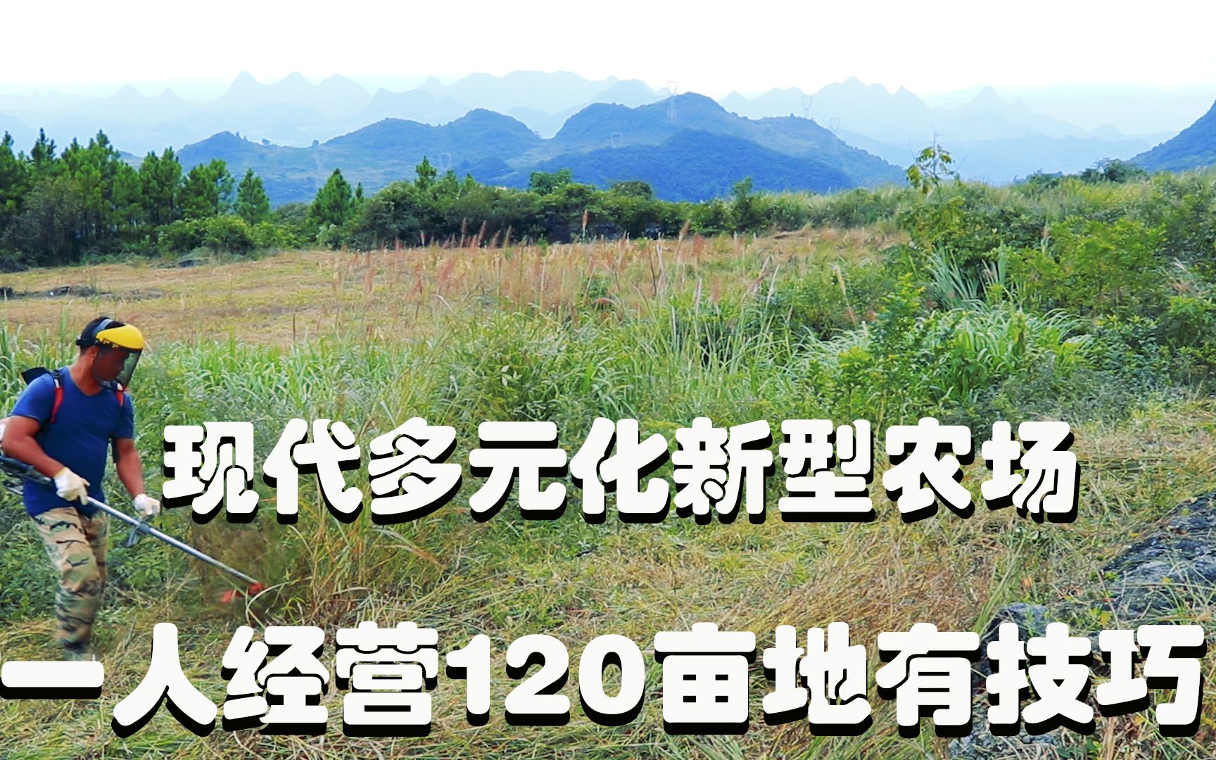 农村创业,现代多元化新型农场,一人经营120亩,方法值得学!