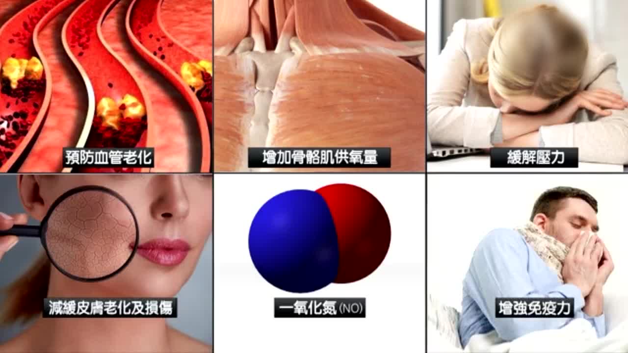 人体血液循环对身体帮助的介绍