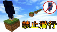 皮卡解说我的世界 第一季 第134集 当潜行键被禁用时该怎么玩跑酷?