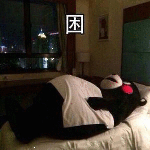 小沈不省心77 
