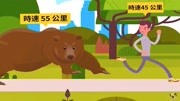 科学时光机 人类和动物赛跑结果如何? 猎豹的速度究竟有多快?