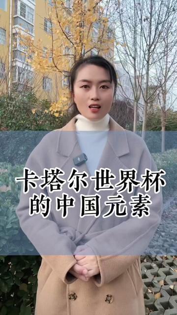 卡塔尔世界杯的中国元素卡塔尔世界杯,足球的魅力,中国制造