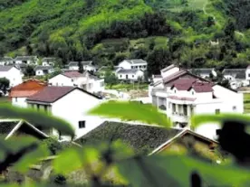 《法律与生活.城中村改造的法律较量》—万典律师案例