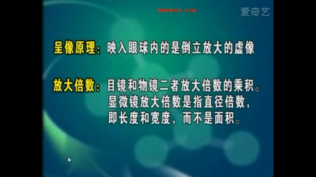 显微镜的使用(罗伟)