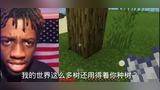 你竟然在我的世界中种树