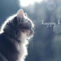 F透着黎明的光亮 