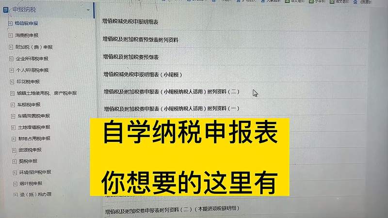自学纳税申报表,(刚刚接触这个行业建议收藏)