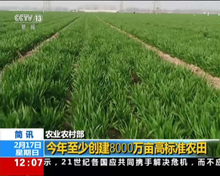农业农村部:今年至少创建8000万亩高标准农田