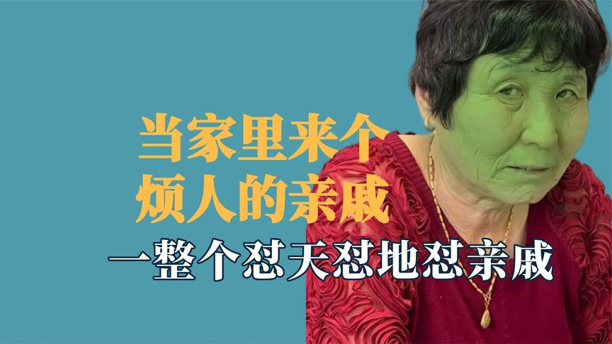 当家里来个烦人的亲戚,狗拿耗子多管闲事,一整个怼天怼地怼亲戚