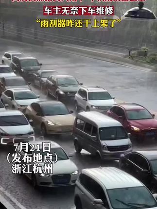 网友偶然拍到大雨下 车辆雨刮器罢工,车主无奈下车维修