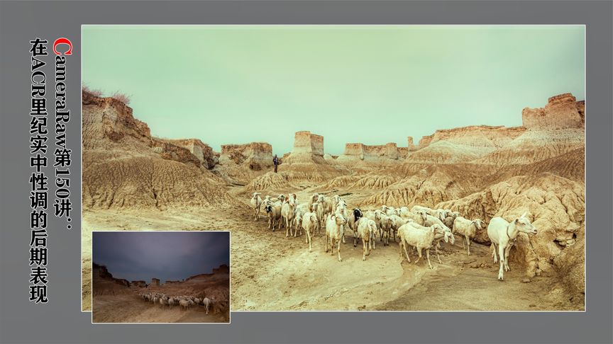 CameraRaw第150讲:在ACR里纪实中性调的后期表现