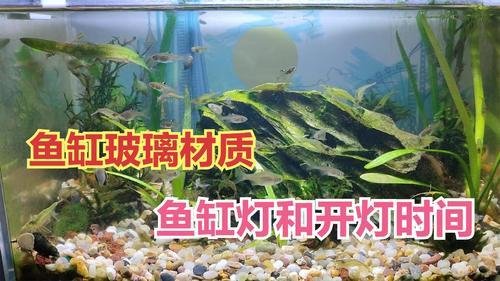 鱼缸灯怎么选开多长时间?鱼缸材质区别,养鱼超白和普通玻璃对比