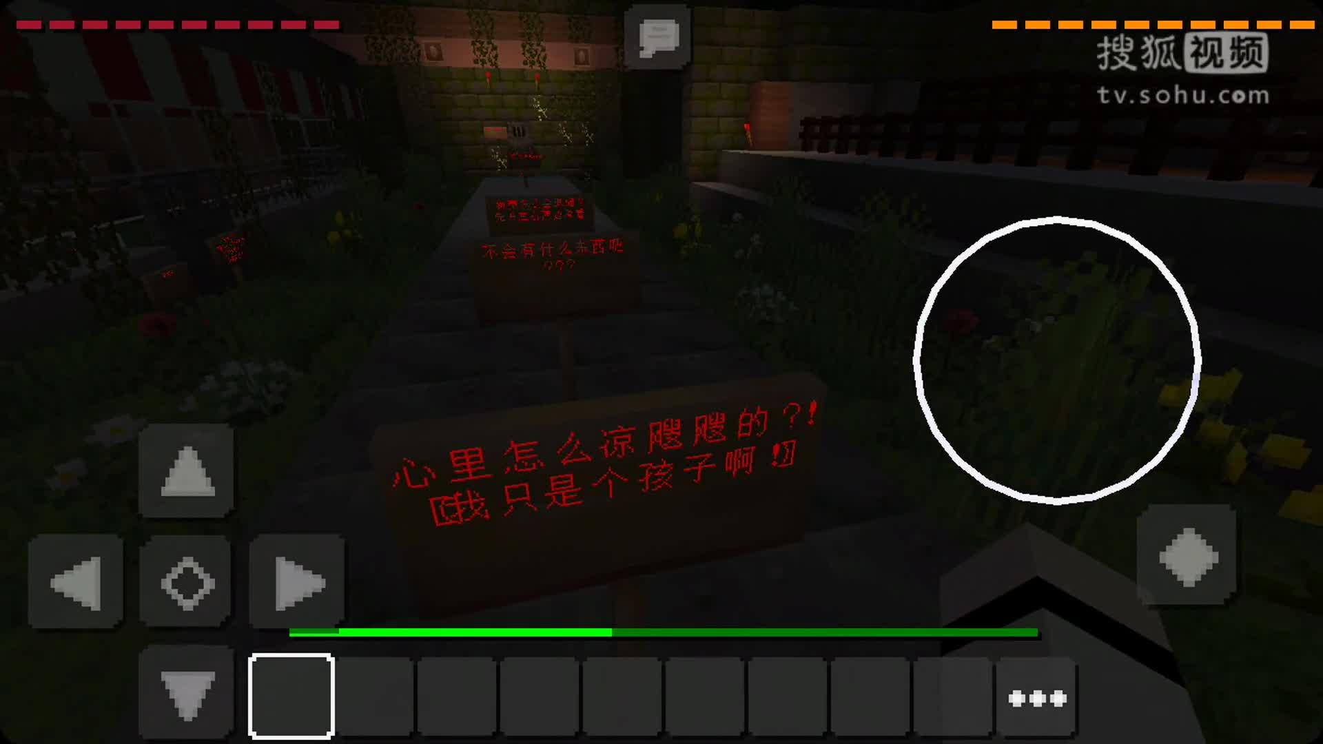 我的世界解密地图名侦探柯南前传之黑衣组织的阴谋