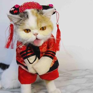 榴莲是个猫 