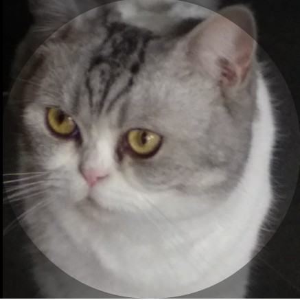 睦苗_Griffin夜闯 