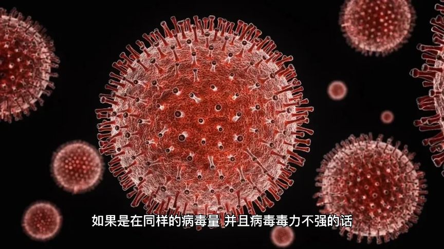 平时对普通感冒抵抗力强的人,是不是对新冠病毒的感染率也低些?