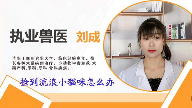 捡到流浪小猫咪怎么办,可以带回家吗