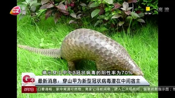 穿山甲为新型冠状病毒潜在中间宿主,毒株序列相似达99%