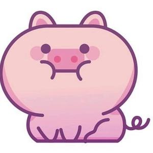 肥肥视频解说 