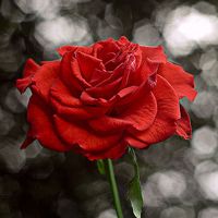 小阿乐娱乐闲侃官 