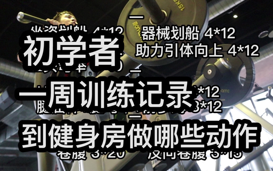 【新手健身记录】初学者怎么安排一周的训练?到健身房做哪些动作?...