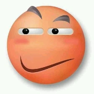 同志TZ 
