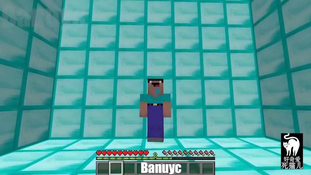 我的世界-站在那里一动不动