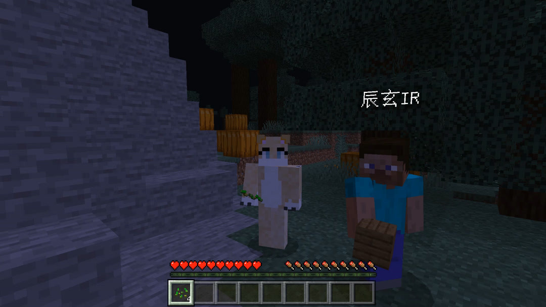 降世!金牌山顶洞人【我的世界联机实况1】冰轩