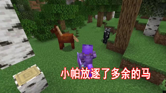 我的世界联机60:小帕为了寻找三叉戟,开始酿制药水