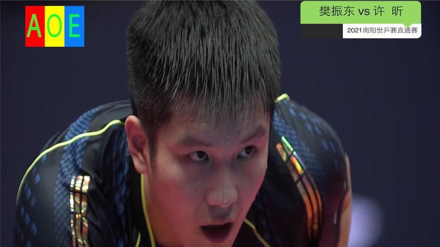 樊振东 vs 许昕 十五佳球 男单决赛 2021南阳世乒赛直通赛