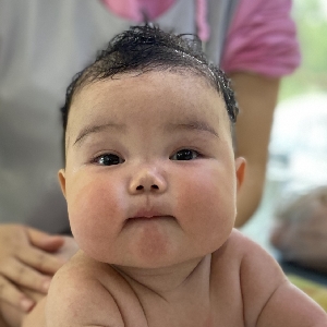 小草莓想吃提拉米苏 