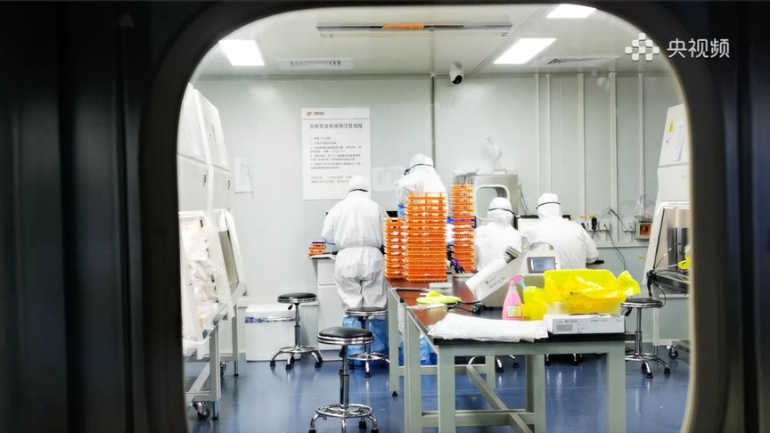 实地探访! 看自动化核酸检测全流程