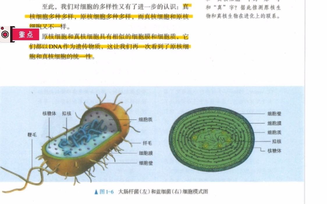 细胞的多样性和统一性