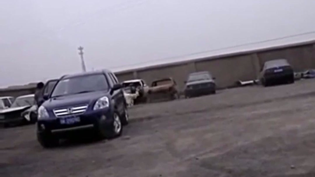 藏獒与斗狗打架_ 藏獒打架视频 藏獒vs斗