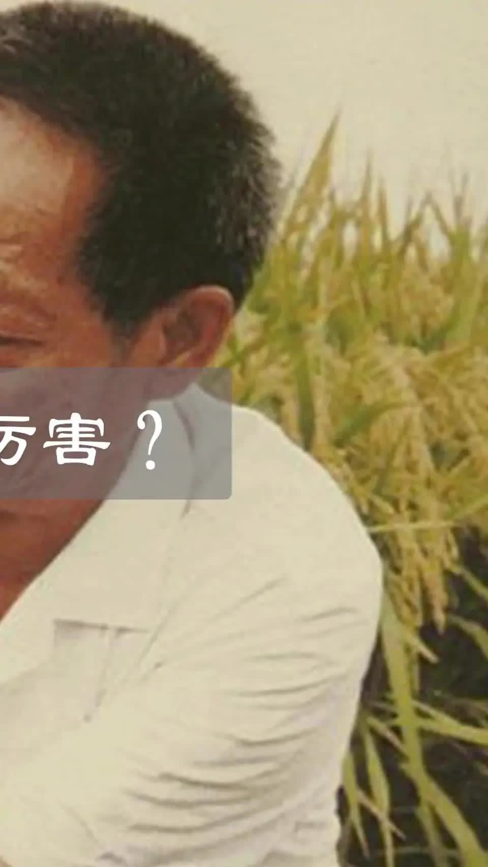 杂交水稻究竟有多厉害?袁隆平的一生到底有多传奇?完结