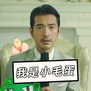 影视小毛蛋 