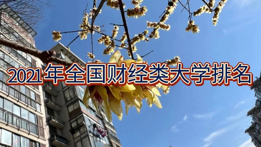 2021年全国财经类大学排名