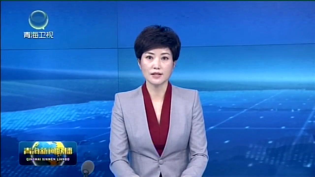 青海省促进政策落实减轻基层负担提高工作效率专项工作机制办公室通知