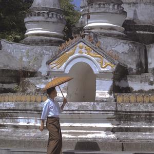 傣小泐 
