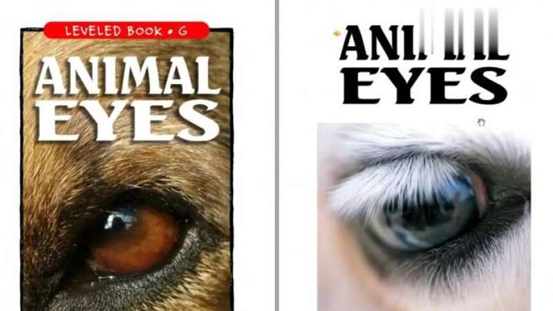 4分钟读完1本英文科普,适合四年级以上的孩子,超有趣涨知识