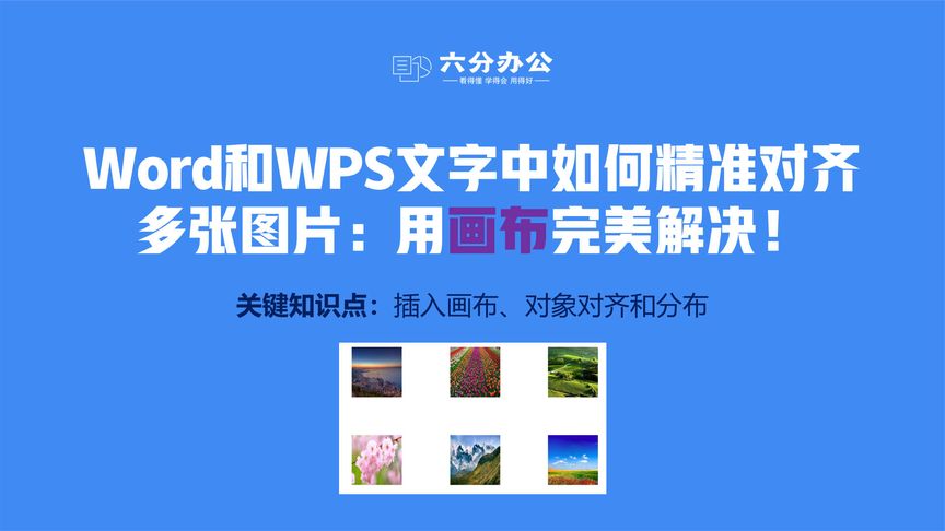 Word和WPS文字中如何精准对齐多张图片:用画布完美解决!