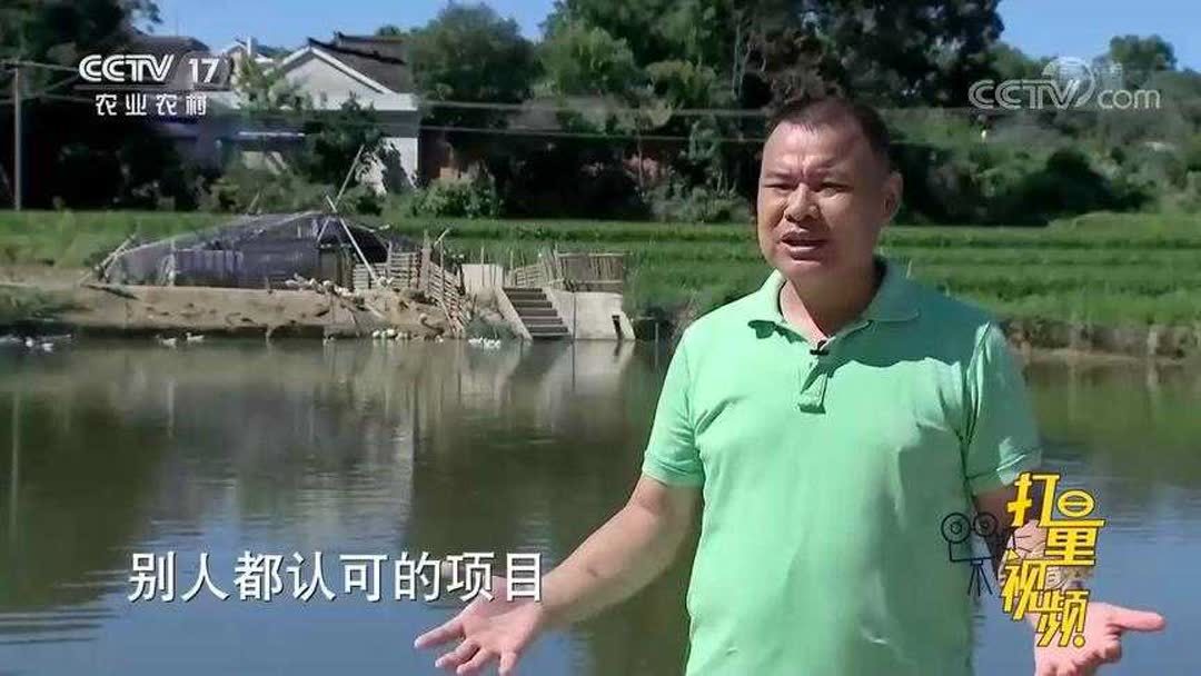 大哥的种植方法很特别,在稻田里养鸭子,这里面有啥玄机丨致富经
