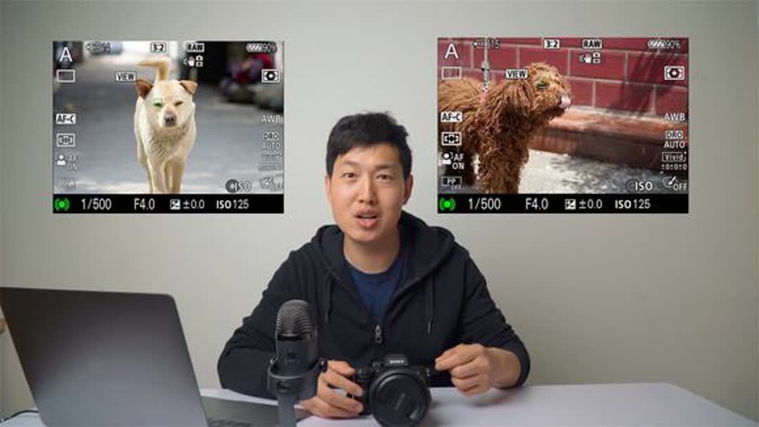 索尼A7M3(A7R3) 3.00 固件更新实测(人眼控,动物眼控)