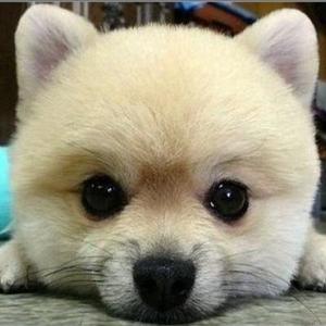 二根辣条砸死你 