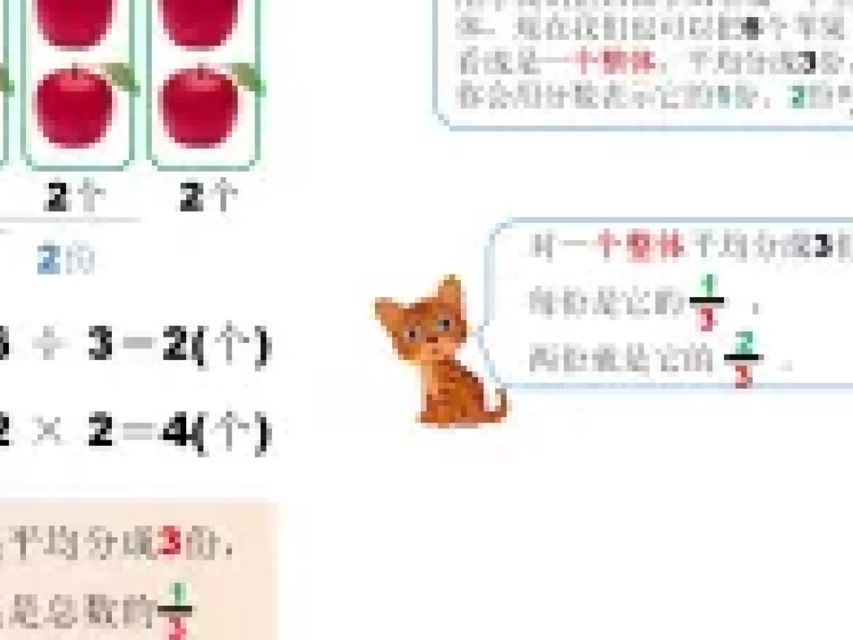 人教版三年级数学上册 分数的简单应用