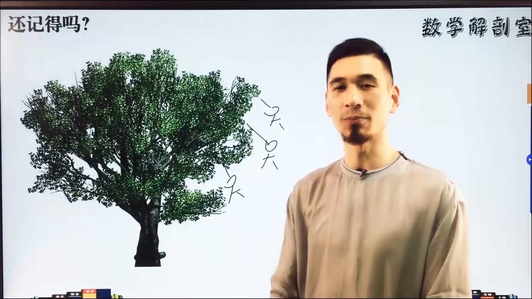 二次函数的各类图像模型