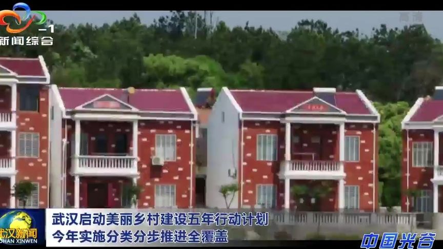 武汉启动美丽乡村建设五年行动计划 今年实施分类分步推进全覆盖