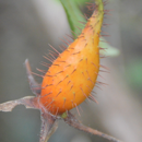 扎心刺骨的现实 