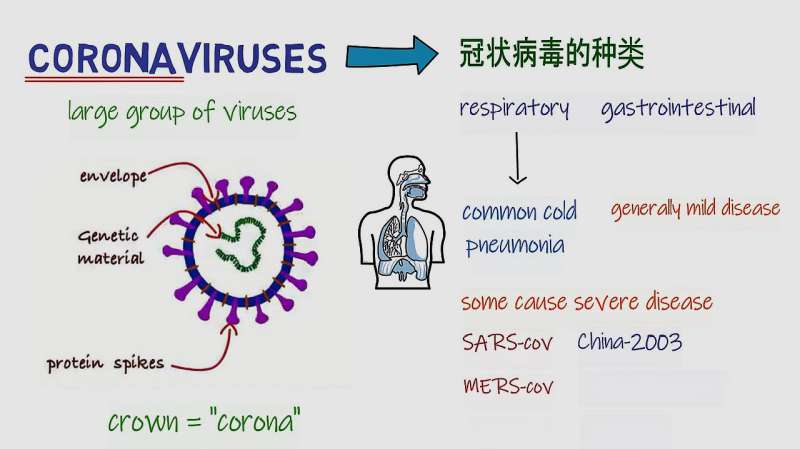动画科普最新最可靠最全面新型冠状病毒