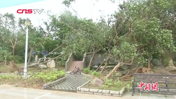 台风来了!强台风“天鸽”袭港 多处道路浸水树木倒塌